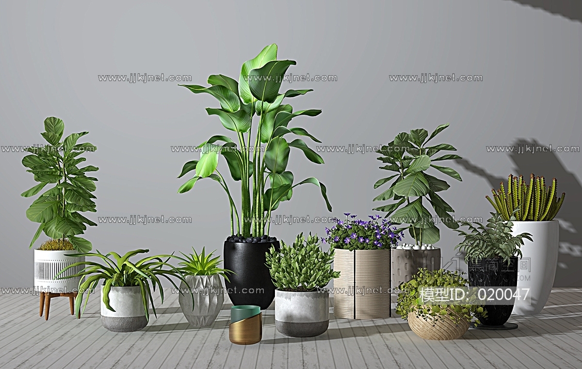 H17 0212绿植盆栽植物花盆组合3d模型下载 【集简空间】「每日更新」