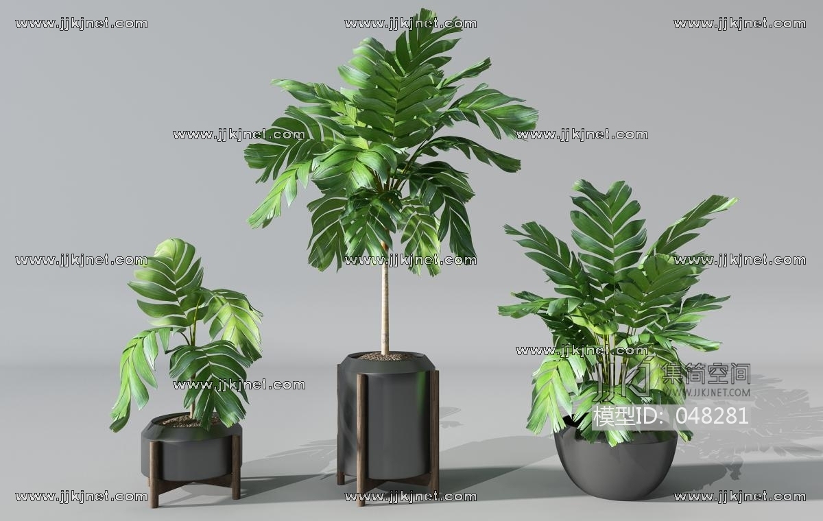 H40 0629植物盆景盆栽绿植花盆3d模型下载 【集简空间】「每日更新」