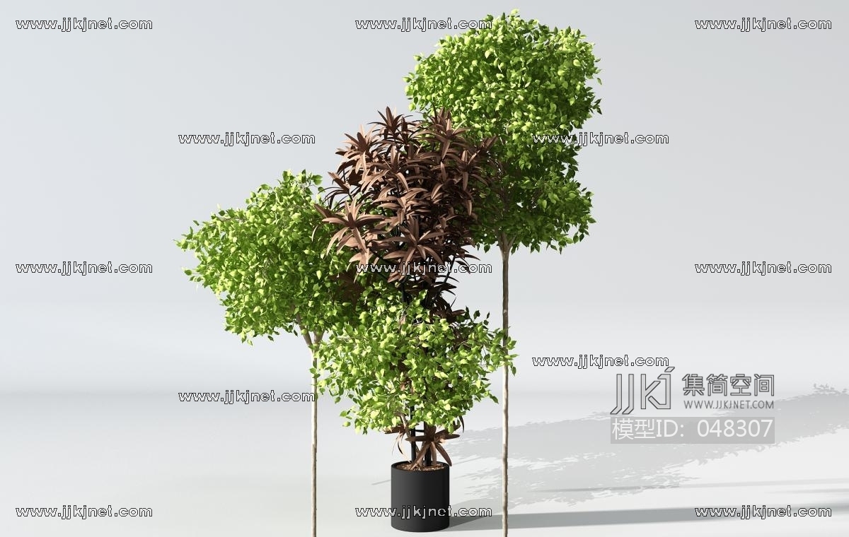 H66 0629植物盆景盆栽绿植花盆3d模型下载 【集简空间】「每日更新」