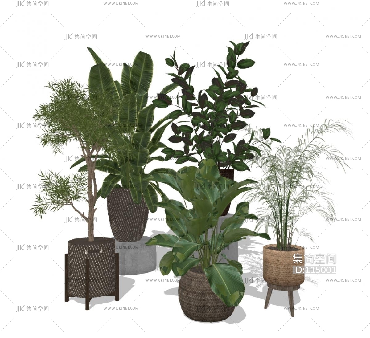 现代绿植盆栽盆景su草图模型下载 【集简空间】「每日更新」
