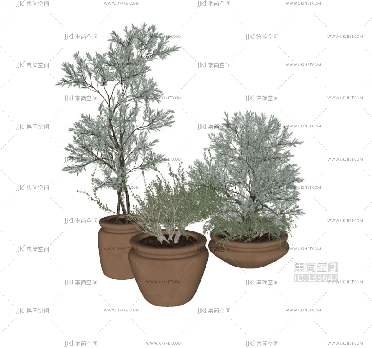侘寂风盆栽绿植su模型su草图模型下载 【集简空间】「每日更新」