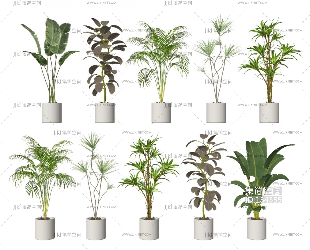 盆栽 盆景 绿植植物su模型su草图模型下载 【集简空间】「每日更新」