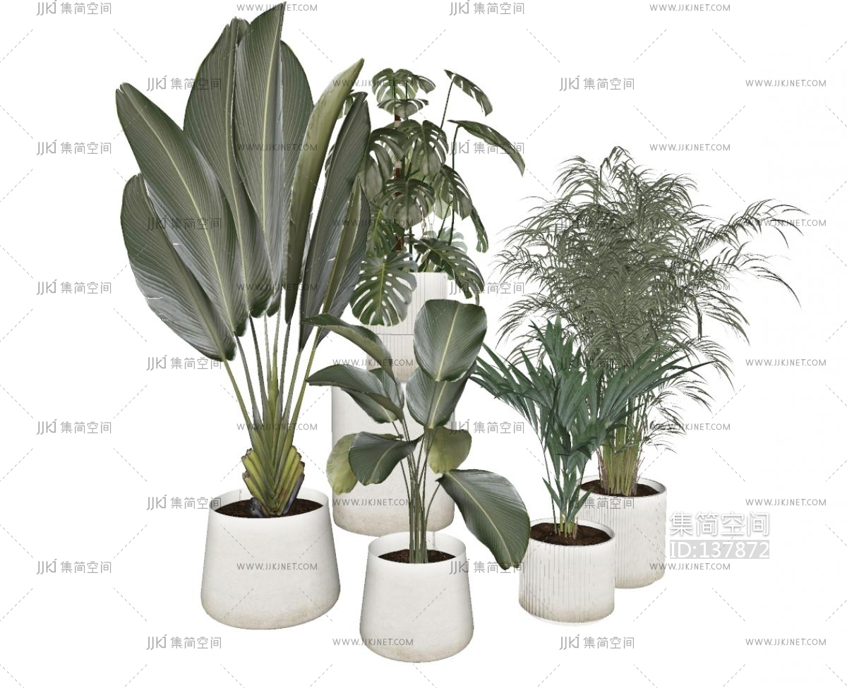 现代绿植盆栽,花盆散尾葵,芭蕉叶 Su模型su草图模型下载 【集简空间】「每日更新」