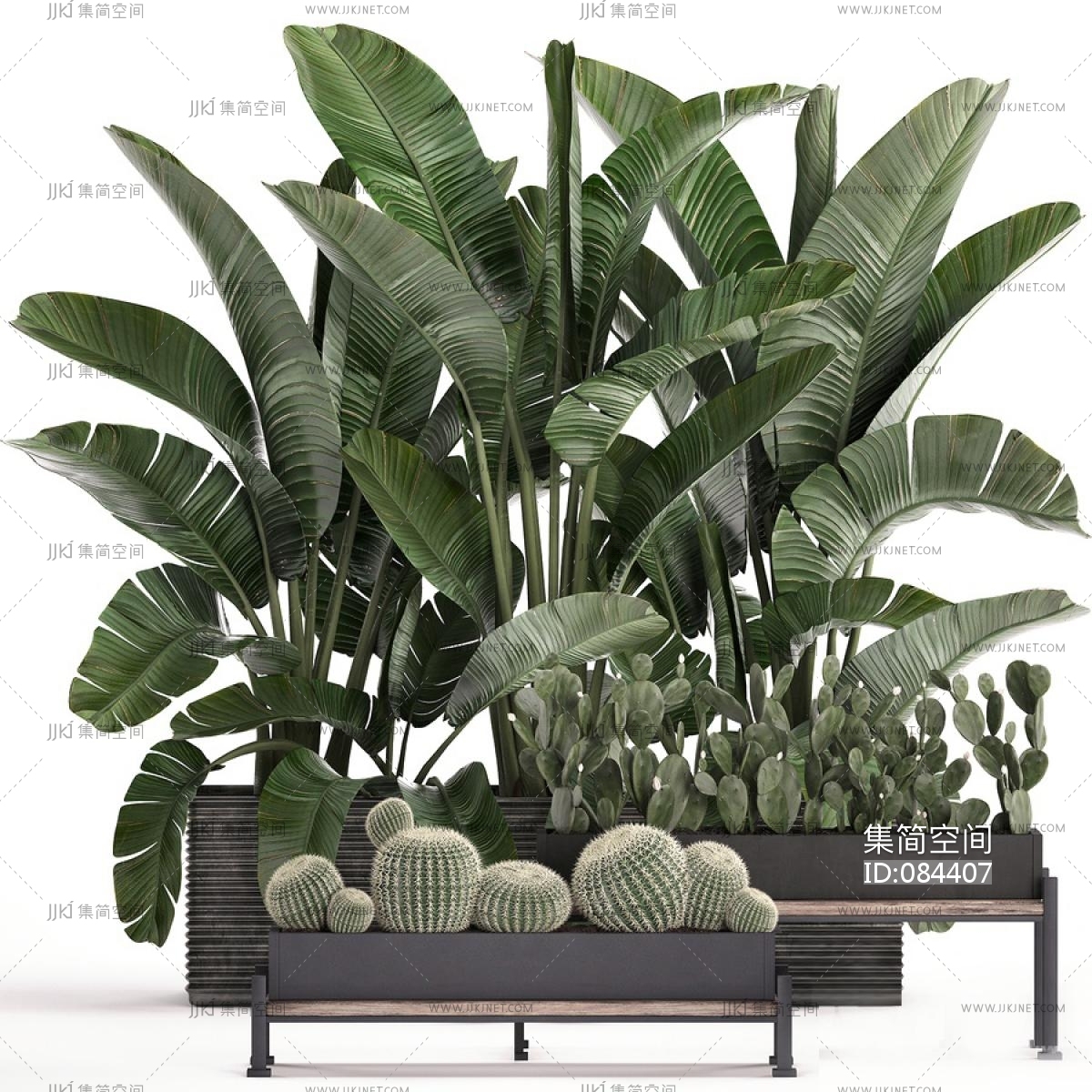植物盆栽，花槽，仙人掌，芭蕉叶3d模型下载 【集简空间】「每日更新」