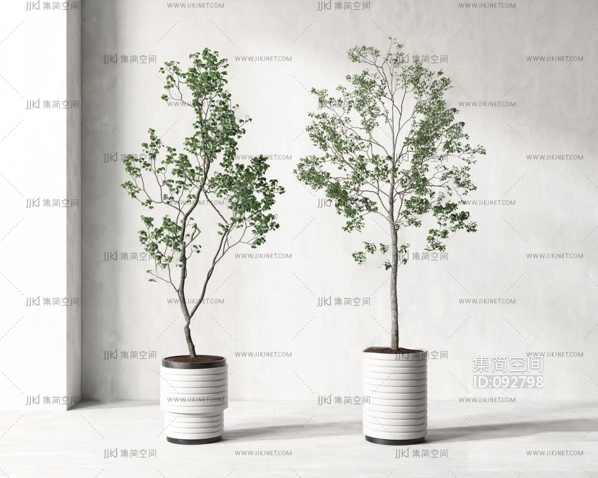 01现代盆栽植物绿植,3d模型下载 【集简空间】「每日更新」