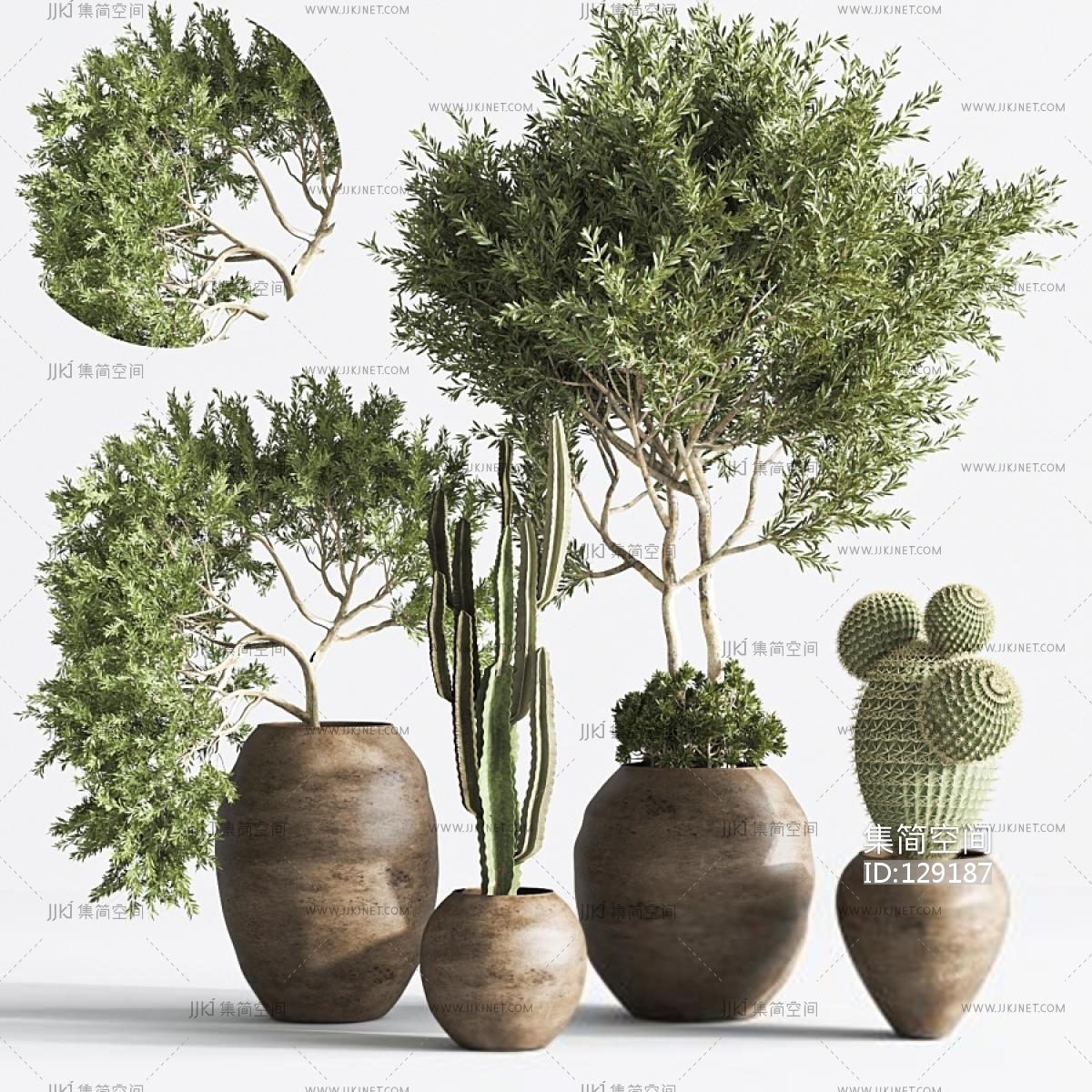 现代盆栽绿植花盆3d模型下载 【集简空间】「每日更新」