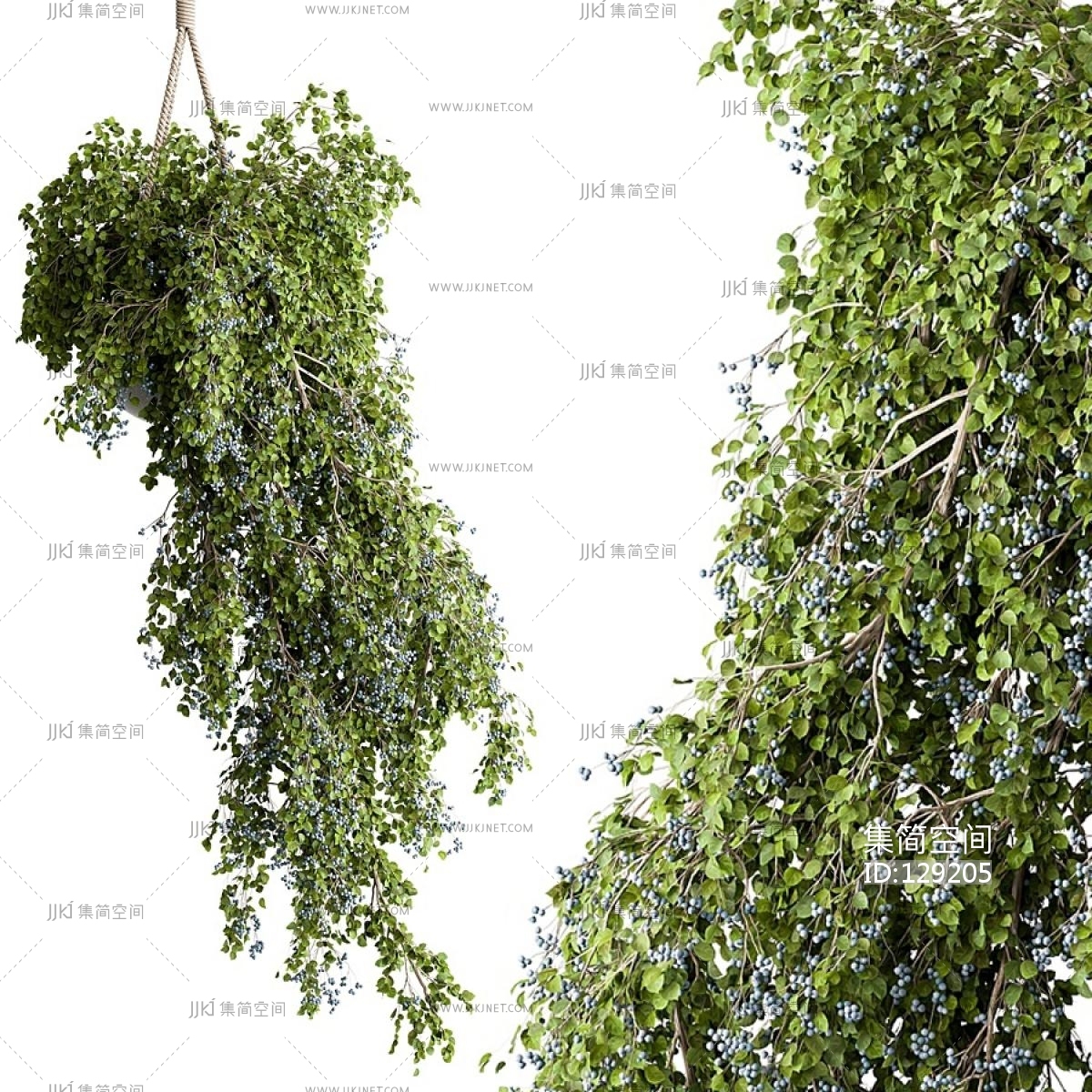 吊装植物绿植3d模型下载 【集简空间】「每日更新」