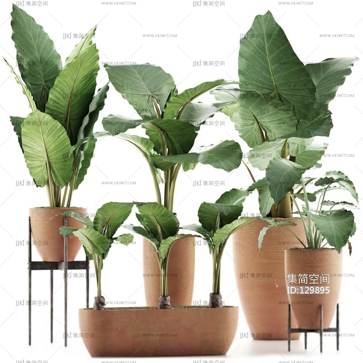 绿植花盆盆栽3d模型下载 【集简空间】「每日更新」
