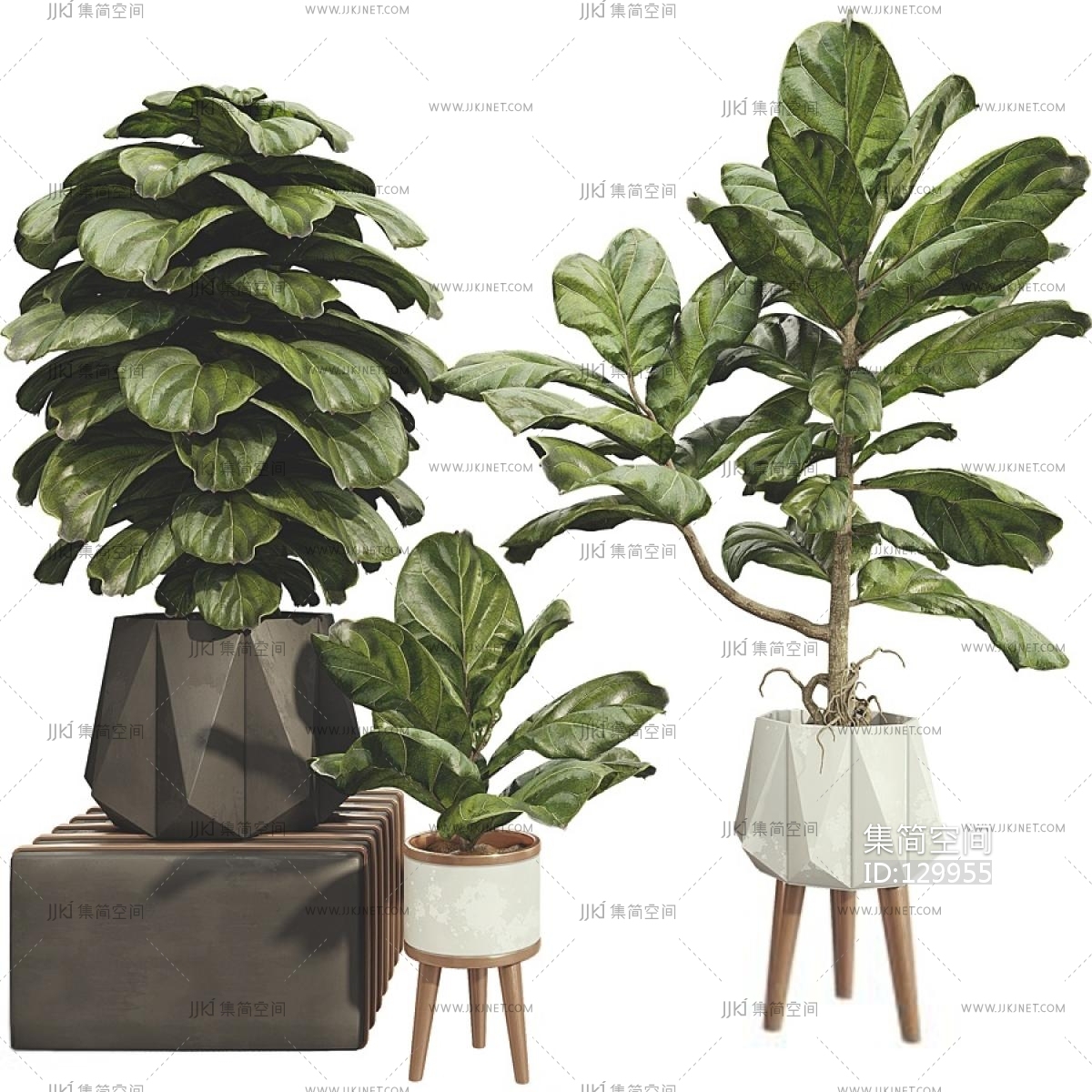 现代绿植盆栽3d模型下载 【集简空间】「每日更新」