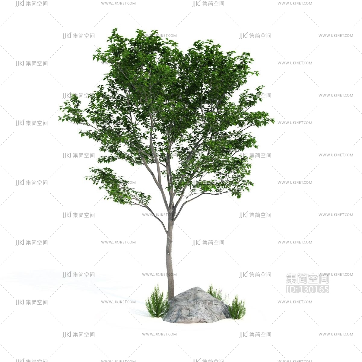 小树,景观石头3d模型下载 【集简空间】「每日更新」