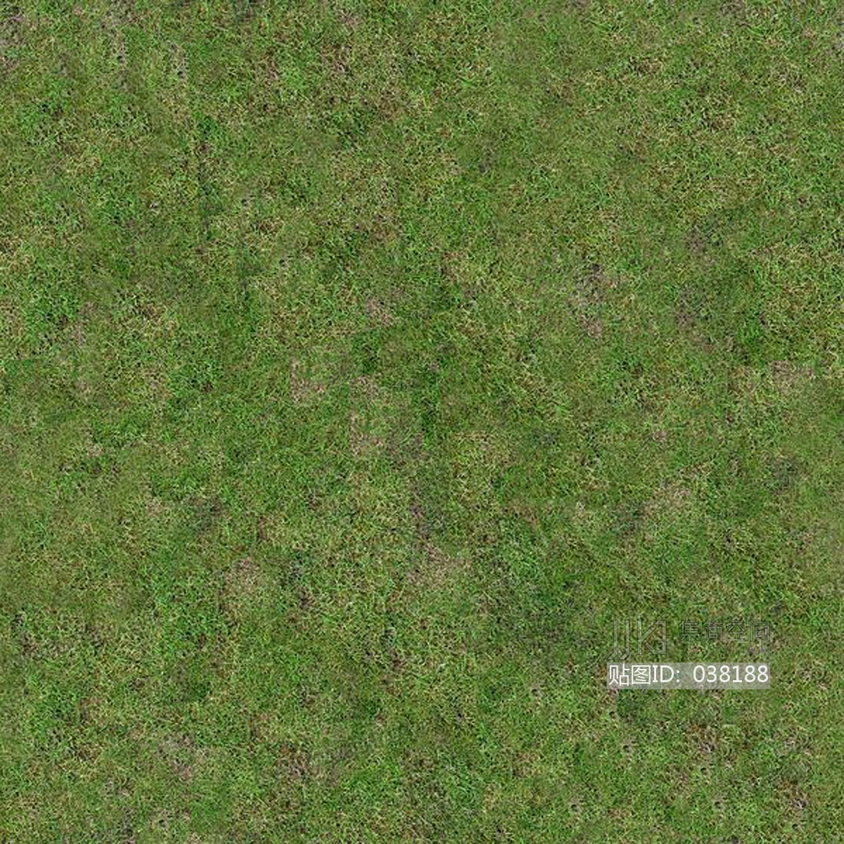草坪草地贴图 12 【集简空间】3d模型su模型贴图草图模型「免费下载每日更新」