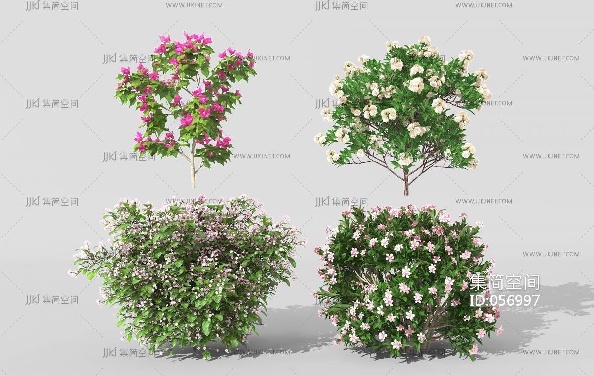H62 0730景观植物树灌木花草 【集简空间】3d模型su模型贴图草图模型「免费下载每日更新」
