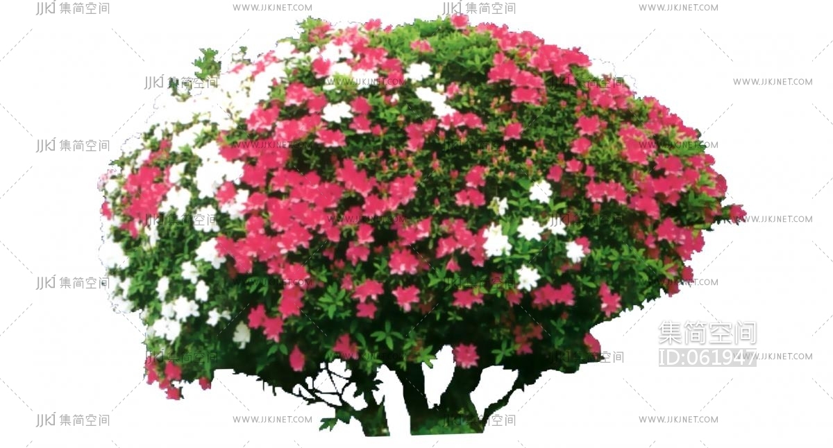 室外园林景观植物花草花卉灌木单面二维模型2d 63 【集简空间】3d模型su模型贴图草图模型「免费下载每日更新」