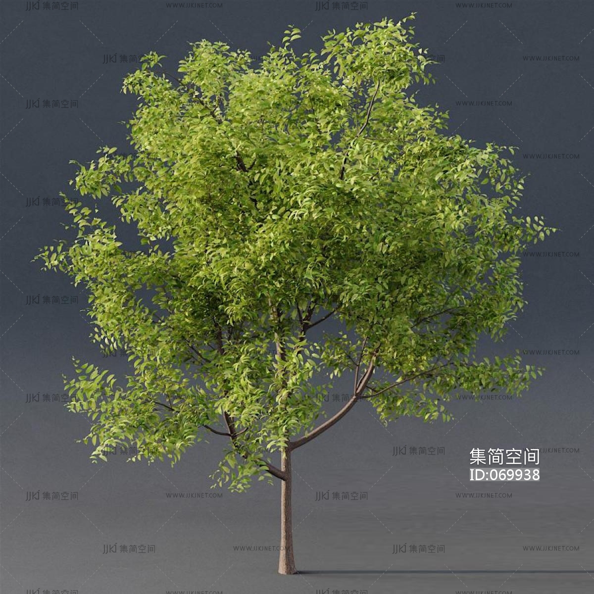 8树 【集简空间】3d模型su模型贴图草图模型「免费下载每日更新」