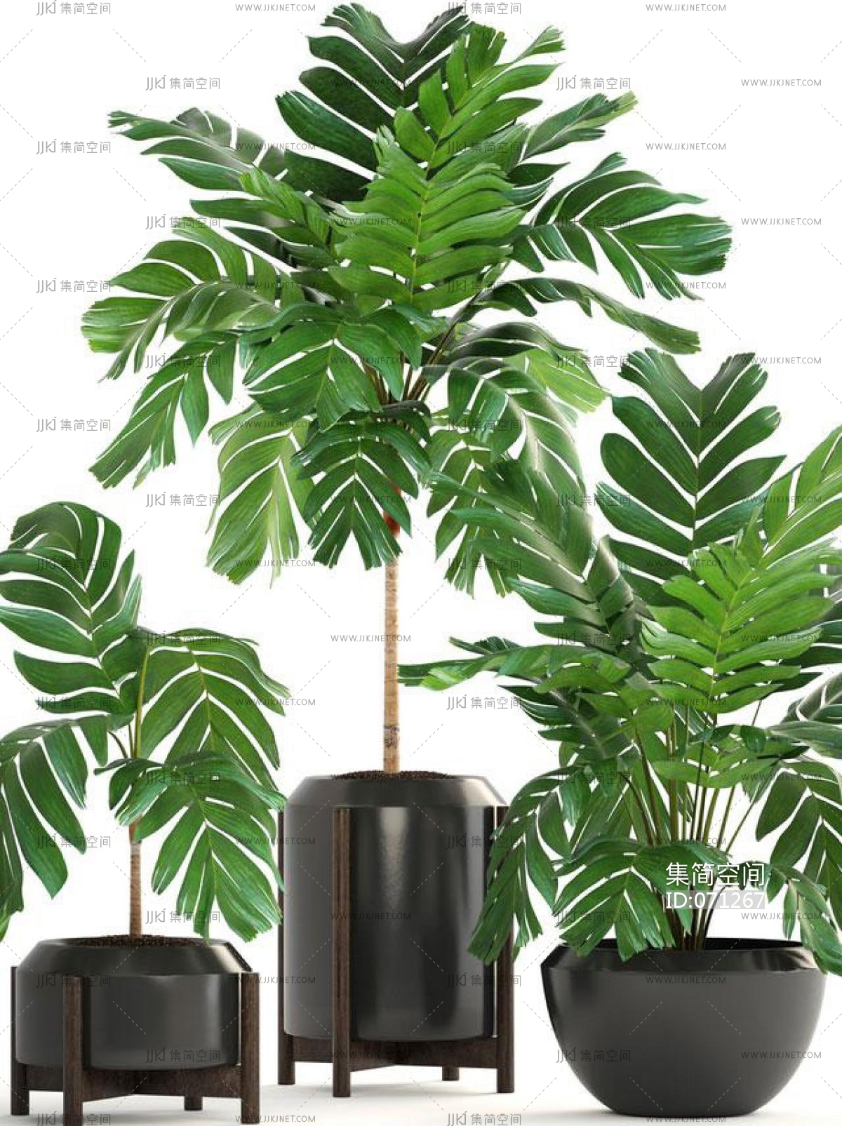 植物盆栽 【集简空间】3d模型su模型贴图草图模型「免费下载每日更新」