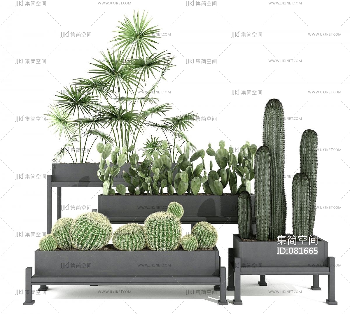仙人掌盆栽，绿植盆景植物花盆 【集简空间】3d模型su模型贴图草图模型「免费下载每日更新」