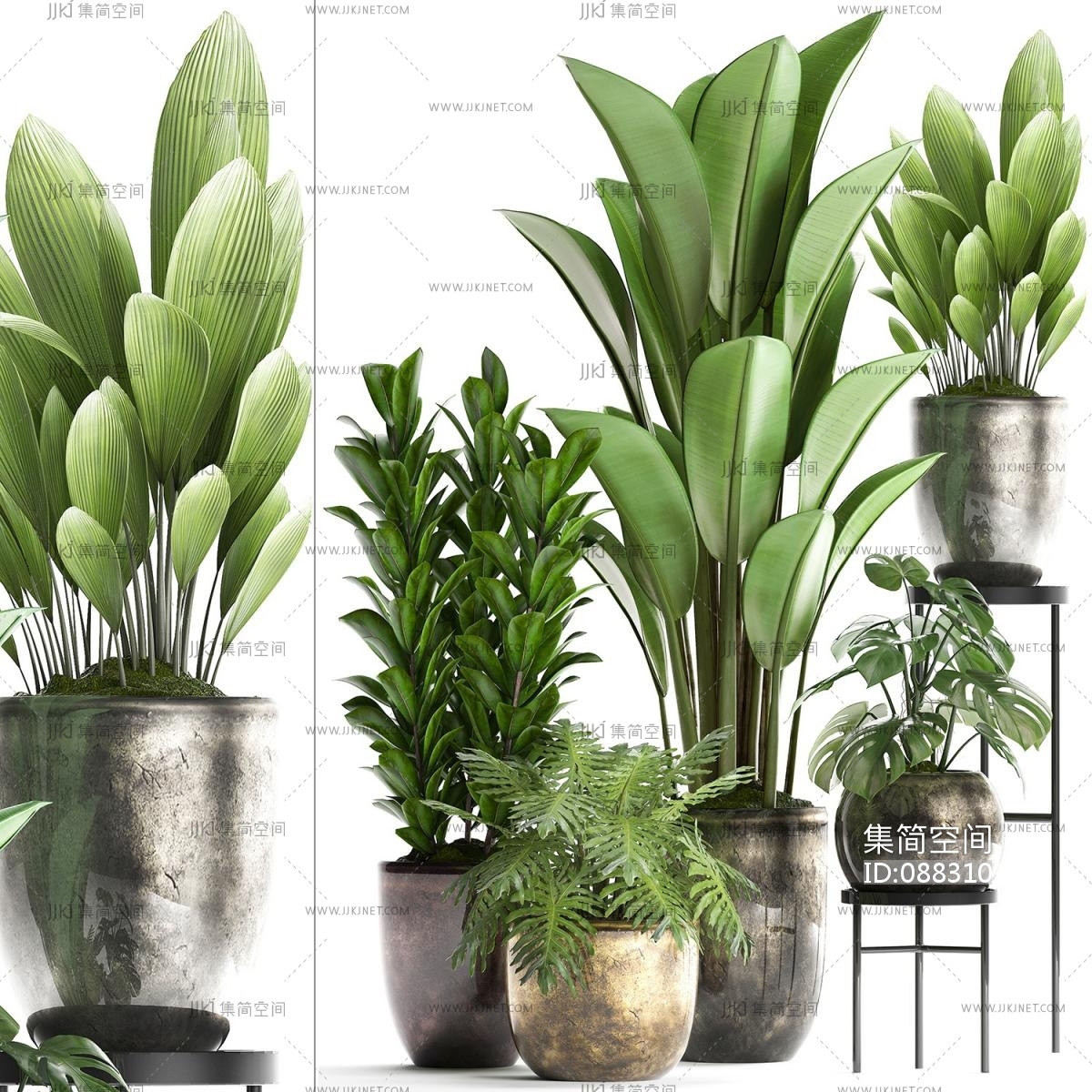 08现代绿植盆栽,花盆大叶植物绿植盆栽 【集简空间】3d模型su模型贴图草图模型「免费下载每日更新」