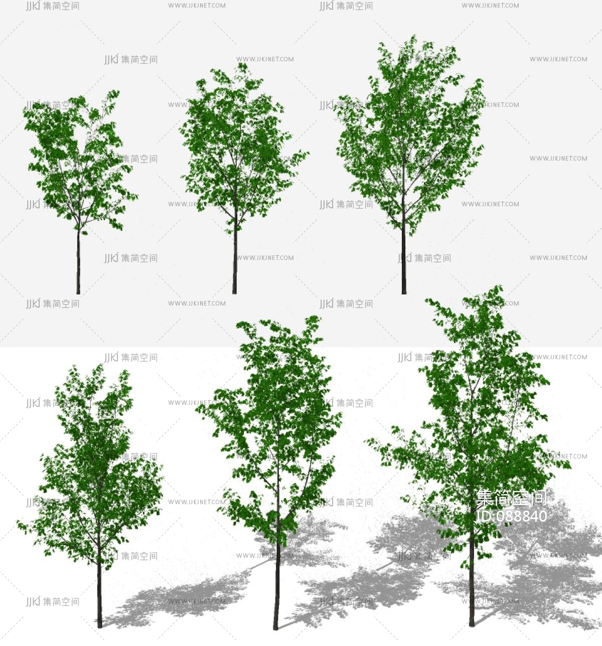 现代树，小树 【集简空间】3d模型su模型贴图草图模型「免费下载每日更新」