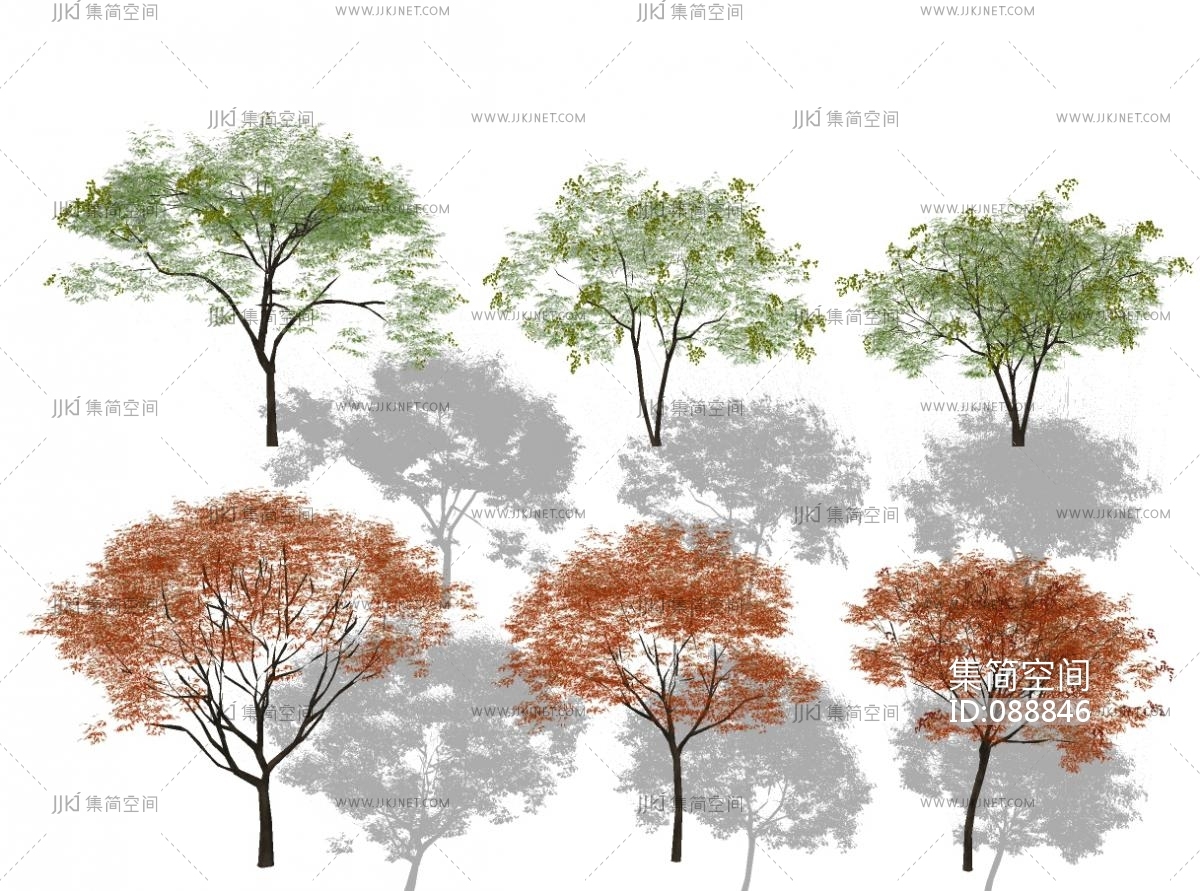 现代树枫树 【集简空间】3d模型su模型贴图草图模型「免费下载每日更新」