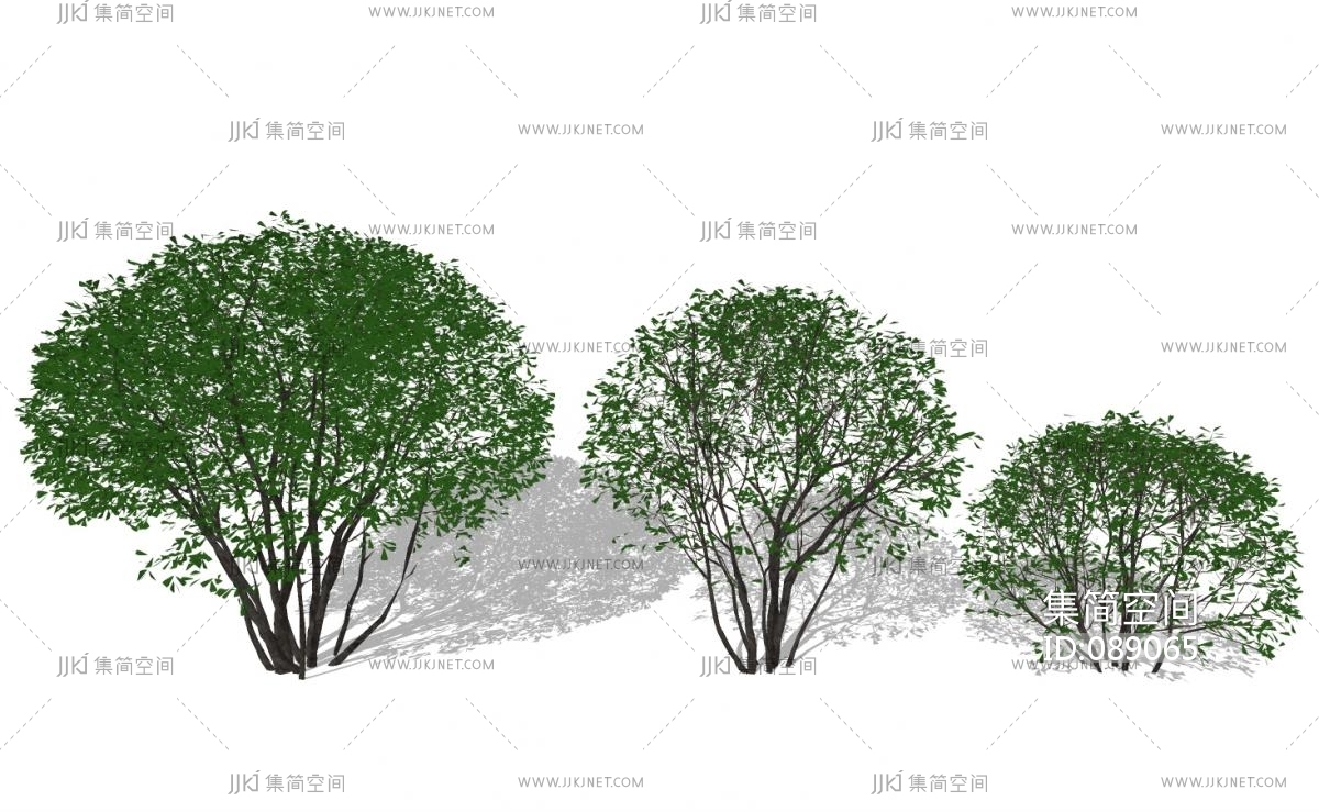 现代树,灌木,冬青球状树 【集简空间】3d模型su模型贴图草图模型「免费下载每日更新」