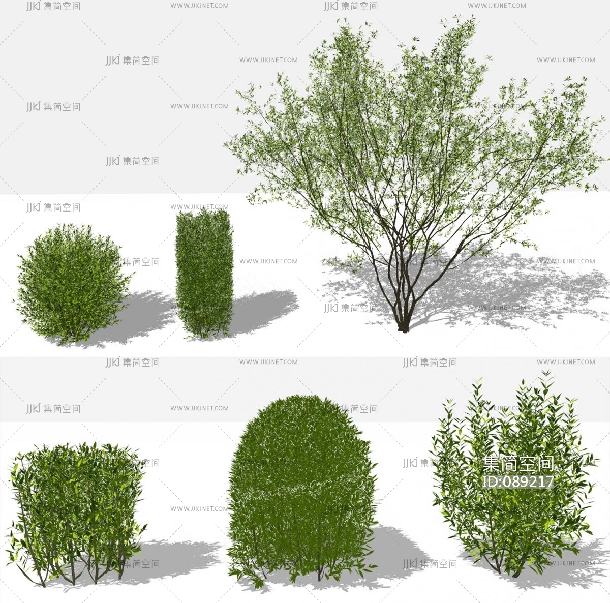 灌木景观树矮树 【集简空间】3d模型su模型贴图草图模型「免费下载每日更新」