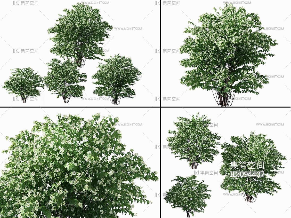 现代灌木矮树 【集简空间】3d模型su模型贴图草图模型「免费下载每日更新」