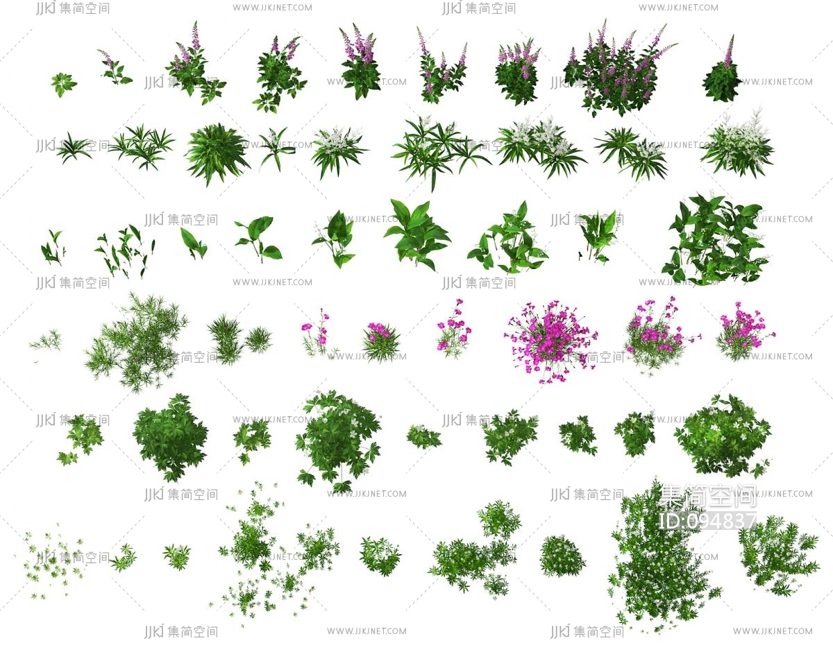 现代绿植灌木花草 【集简空间】3d模型su模型贴图草图模型「免费下载每日更新」